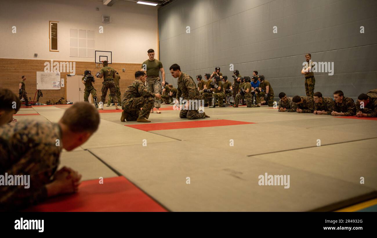 U.S. Marines with 2d Combat Engineer Battalion, 2d Marine Division ...