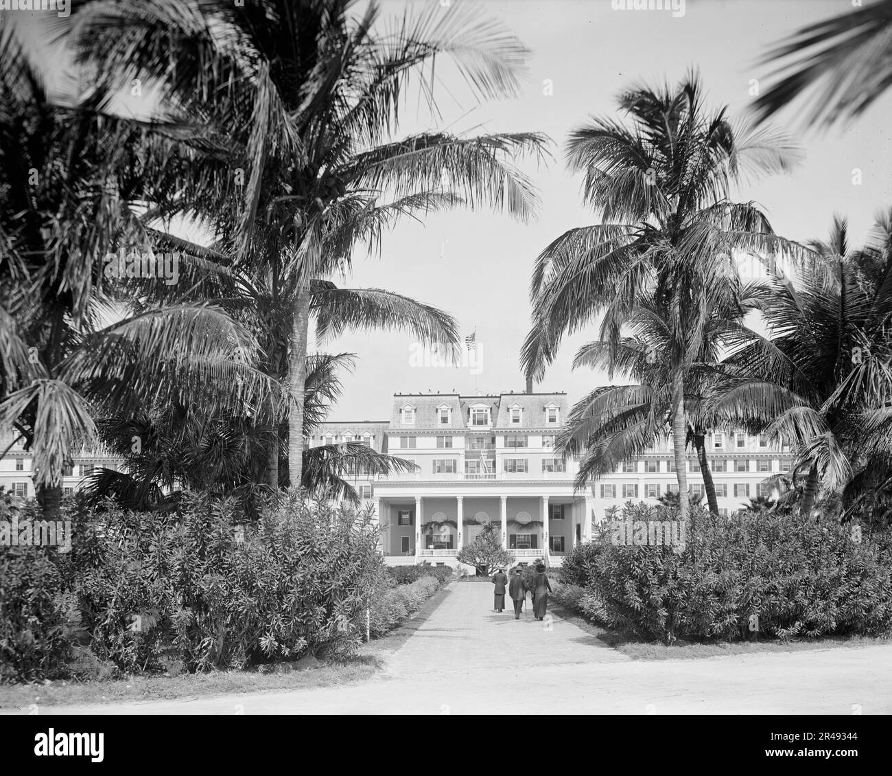 Miami, Fla., south entrance, Royal Palm Hotel, between 1900 and 1920 ...