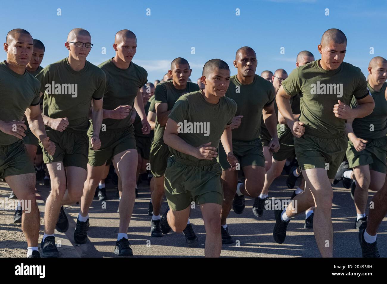 U.S. Marine Corps recruits with Alpha Company, 1st Recruit Training ...