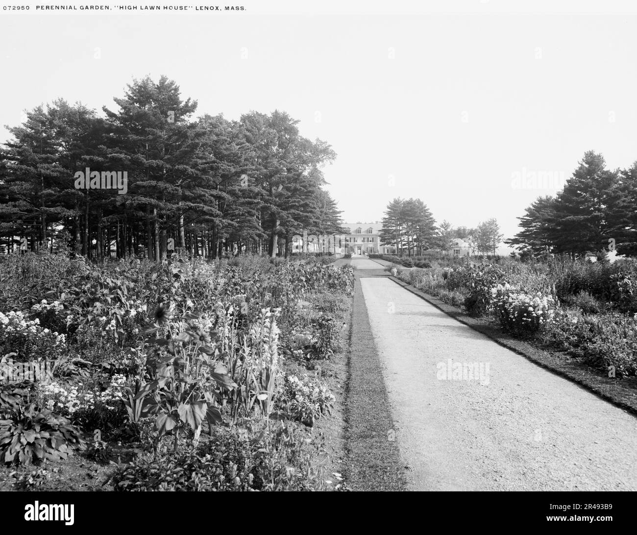 Perennial garden, High Lawn House, Lenox, Mass., between 1900 and 1920 ...