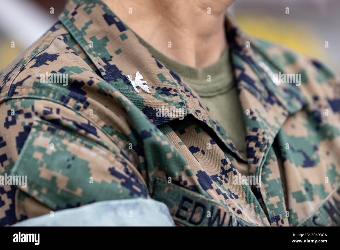 U.S. Marine Corps Col. Lauren Edwards, commanding officer of Combat ...