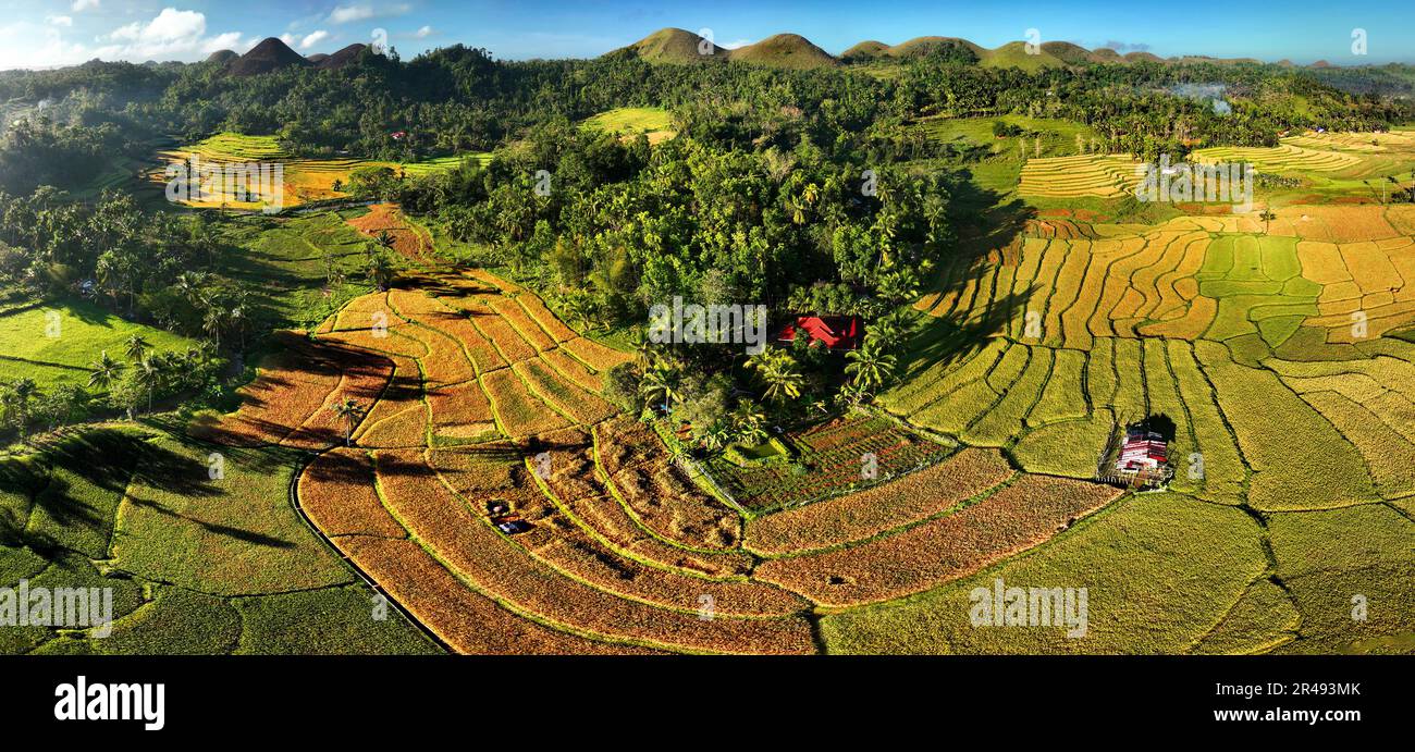 The fields near Chocolate hills, Bohol, Philippines Stock Photo - Alamy