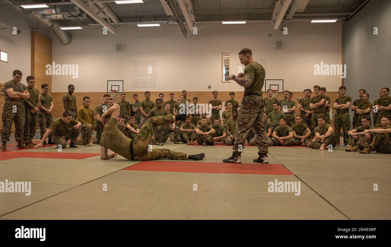 U.S. Marine Corps Staff Sgt. Brian Bessey (right), a martial arts ...