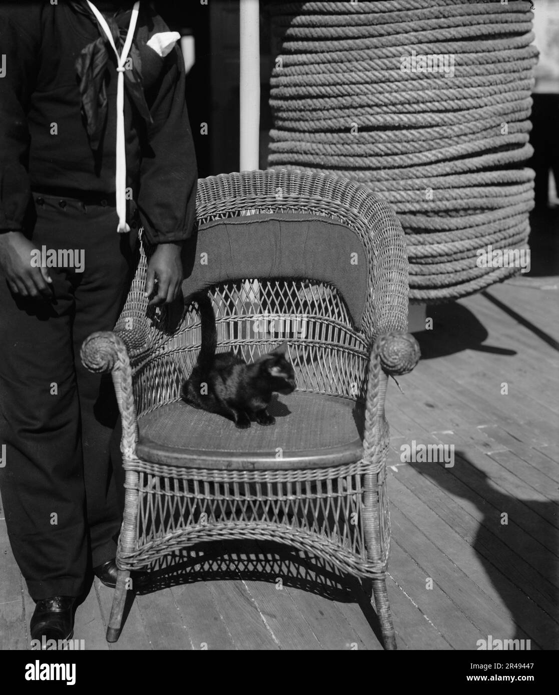 U.S.S. Vixen, Miss Vixen, the mascot, between 1890 and 1901 Stock Photo ...