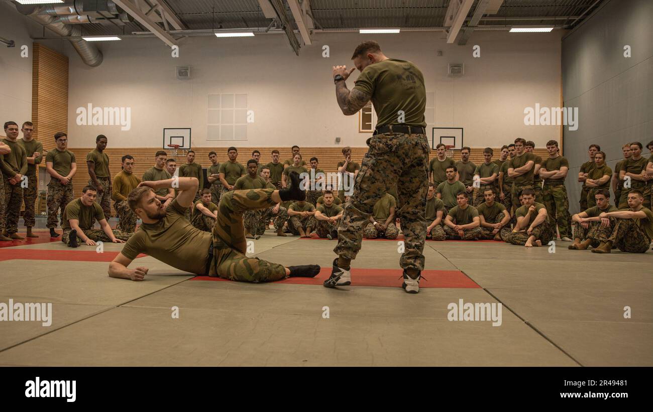 U.S. Marine Corps Staff Sgt. Brian Bessey (right), a martial arts ...