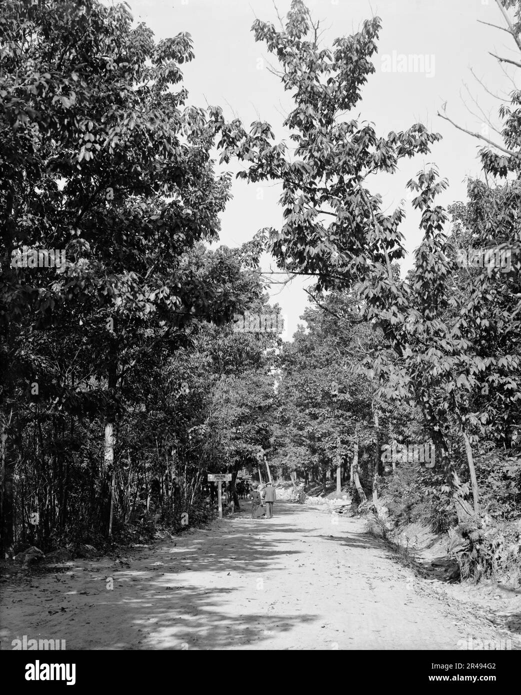 High glass road Black and White Stock Photos & Images - Alamy