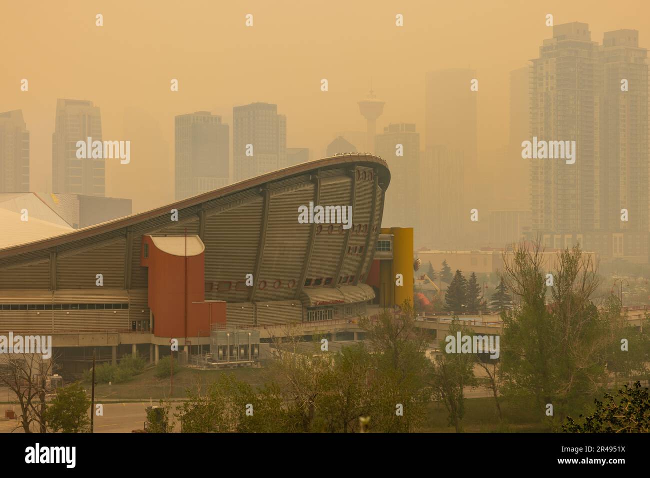 The Scotiabank Saddledome in Stampede Park, Calgary with the skyline in ...