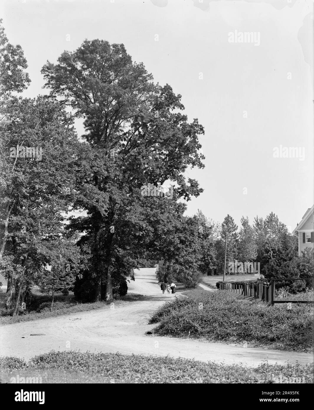 President at Chevy Chase, Washington, D.C., The, c1904 Stock Photo - Alamy