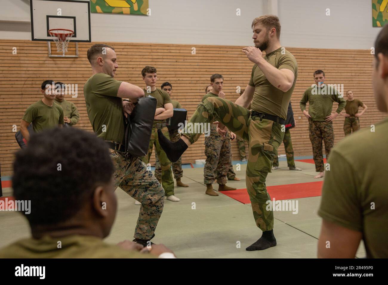 U.S. Marine Corps Staff Sgt. Brian Bessey (left), a martial arts ...