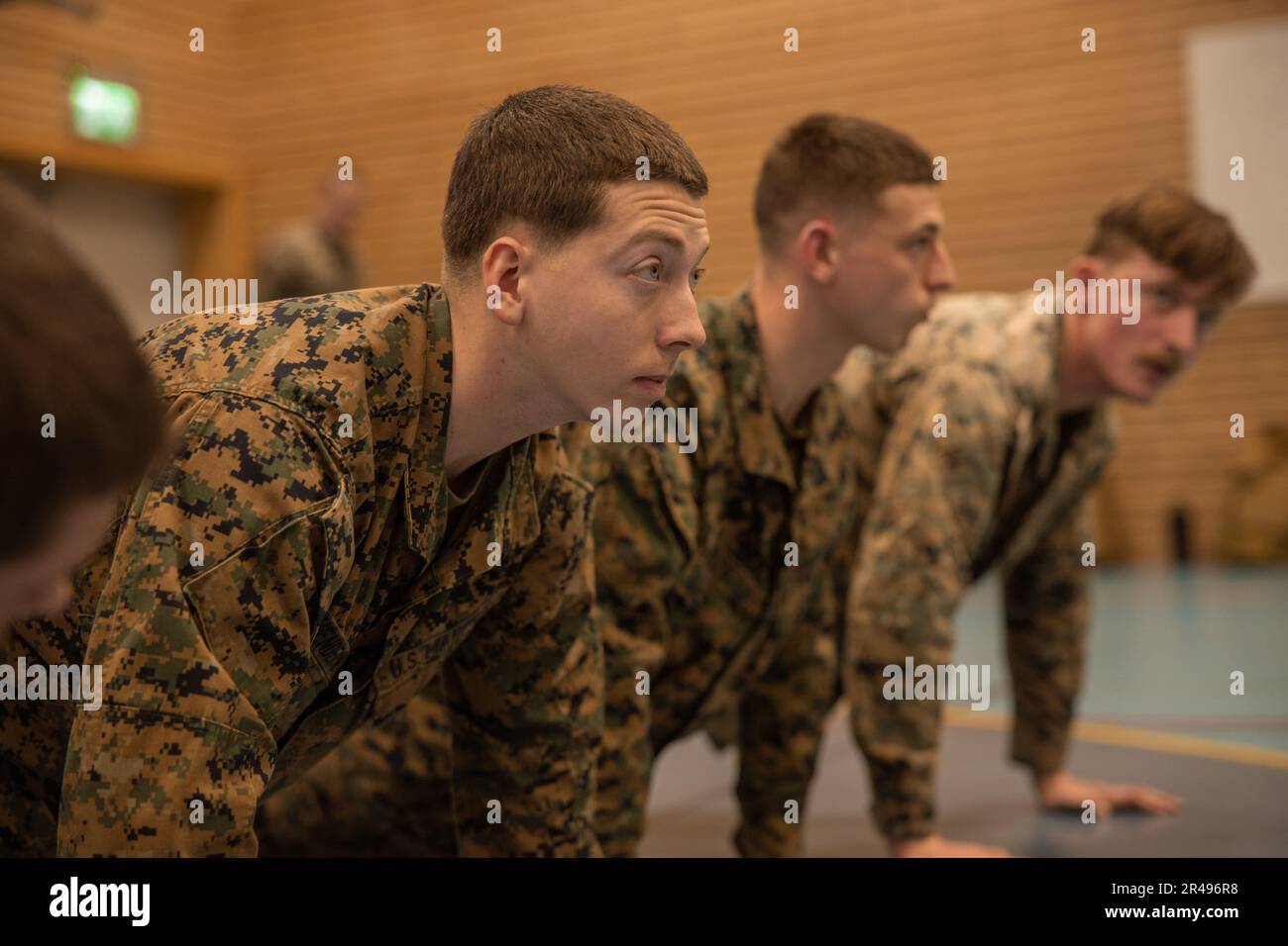 U.S. Marines with 2d Combat Engineer Battalion, 2d Marine Division ...