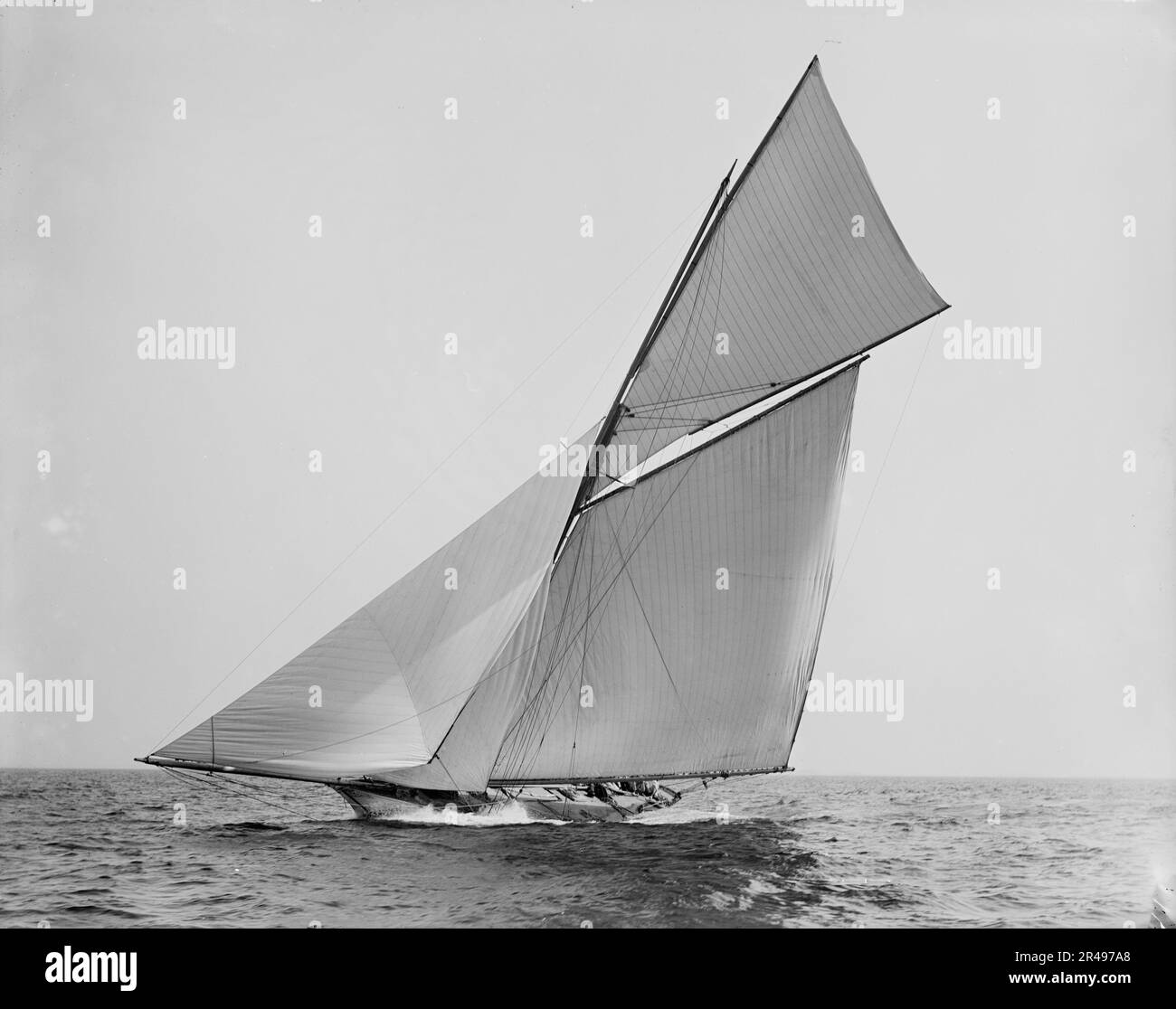 Alborak hi-res stock photography and images - Alamy