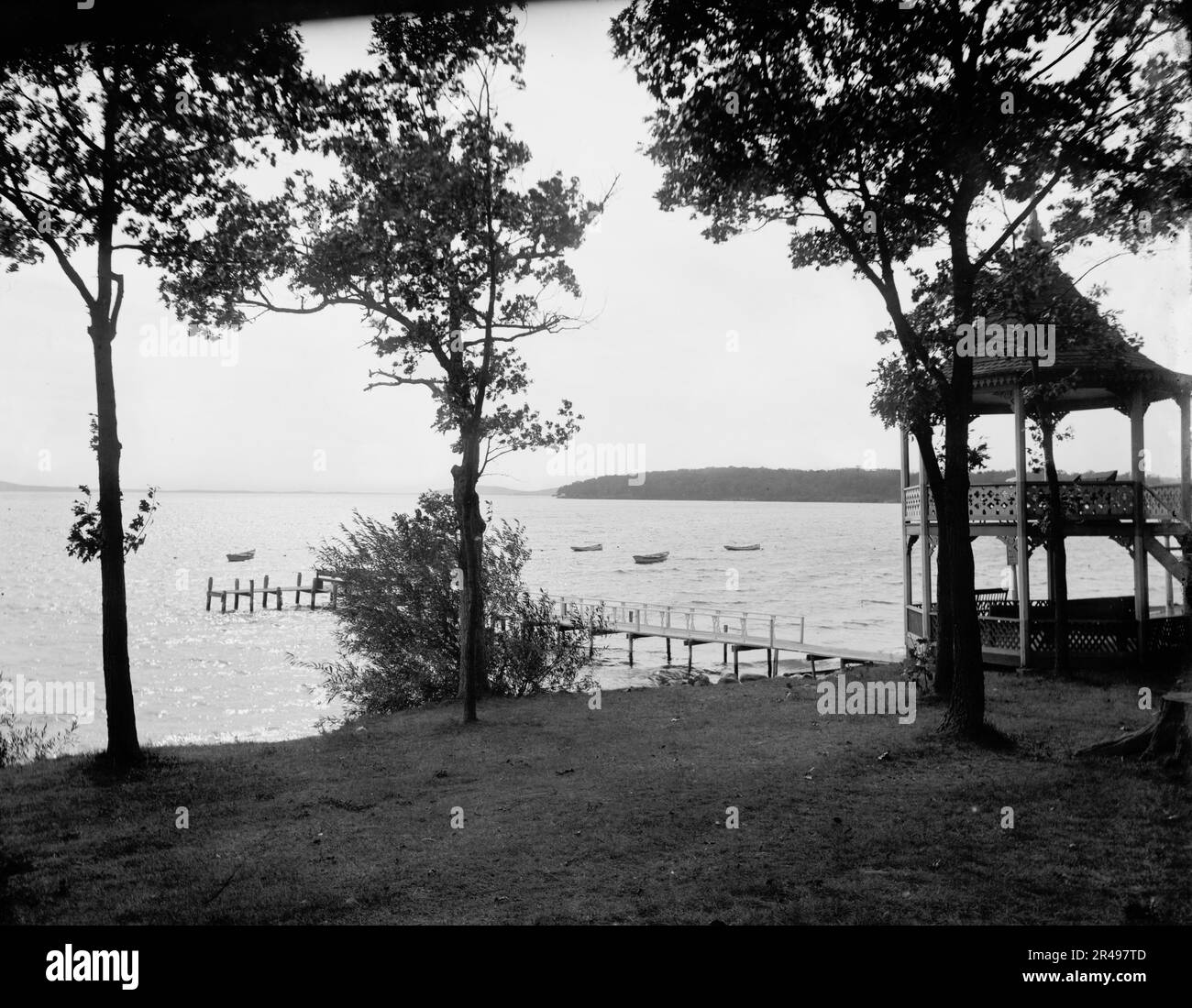 Wisconsin plants Black and White Stock Photos & Images - Alamy