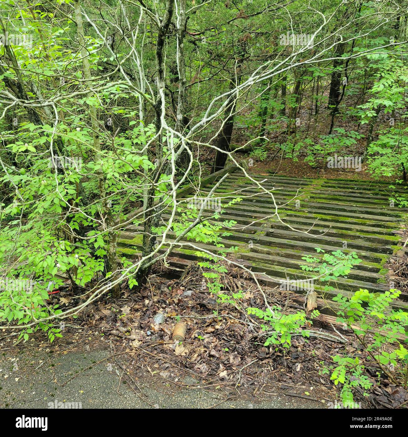 Moss covered bridge hi-res stock photography and images - Alamy