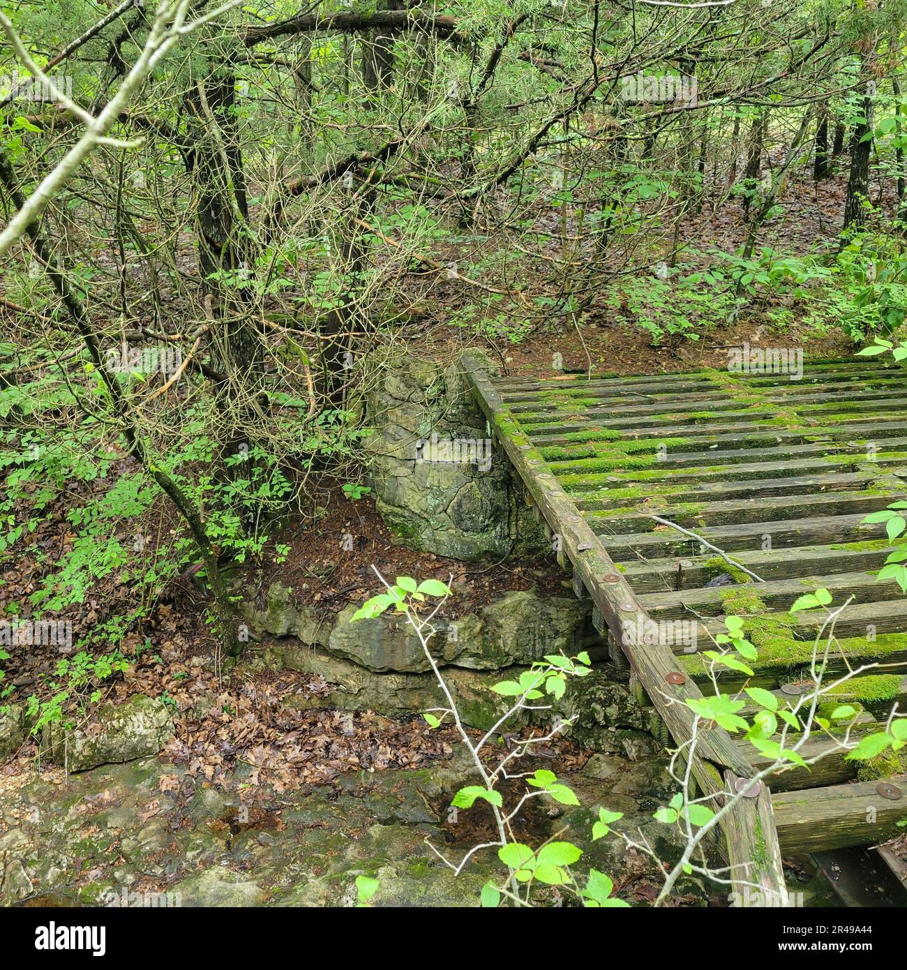 Old, abandoned wooden bridge over a small creek, out in the woods Stock ...