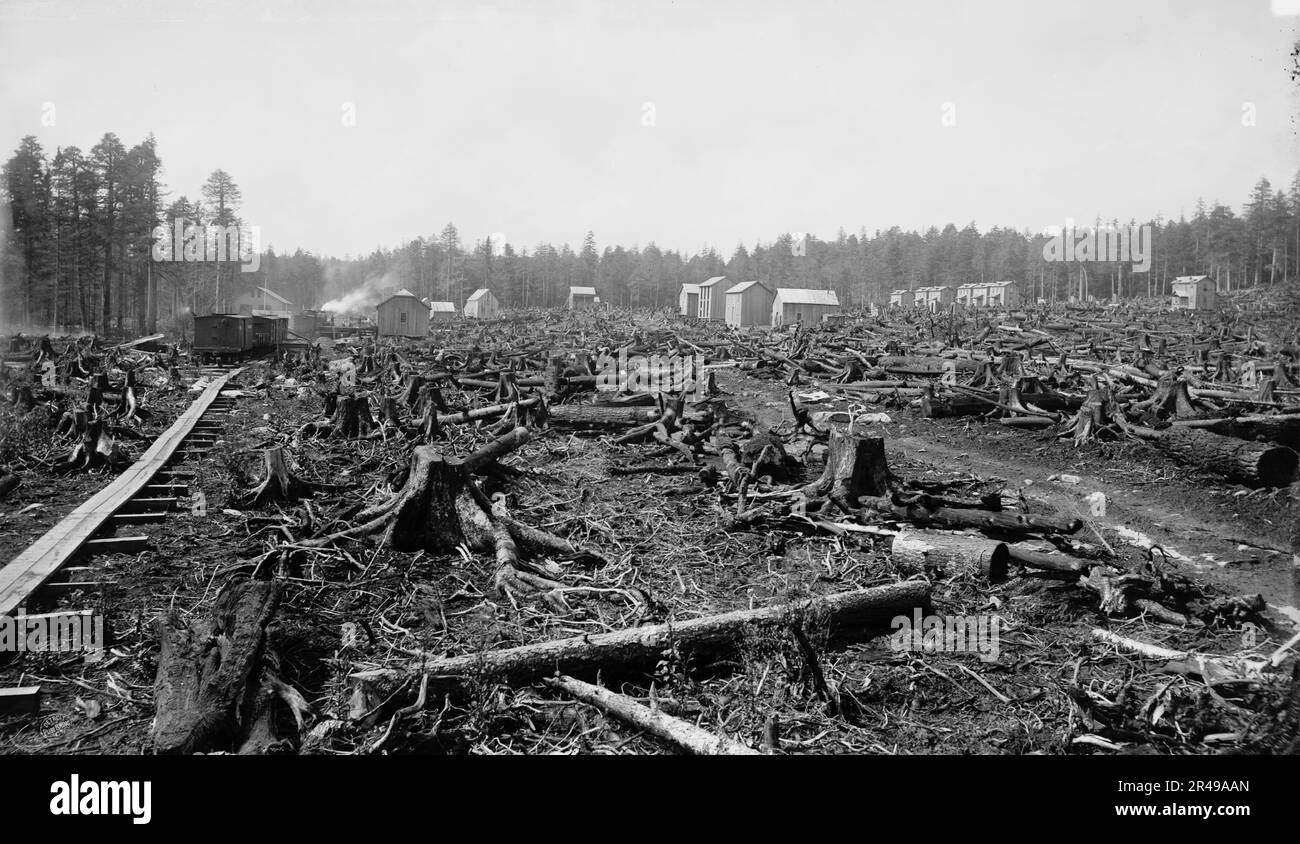 Birth of a city, Davis, W. Va. in 1885, c1885 Stock Photo - Alamy