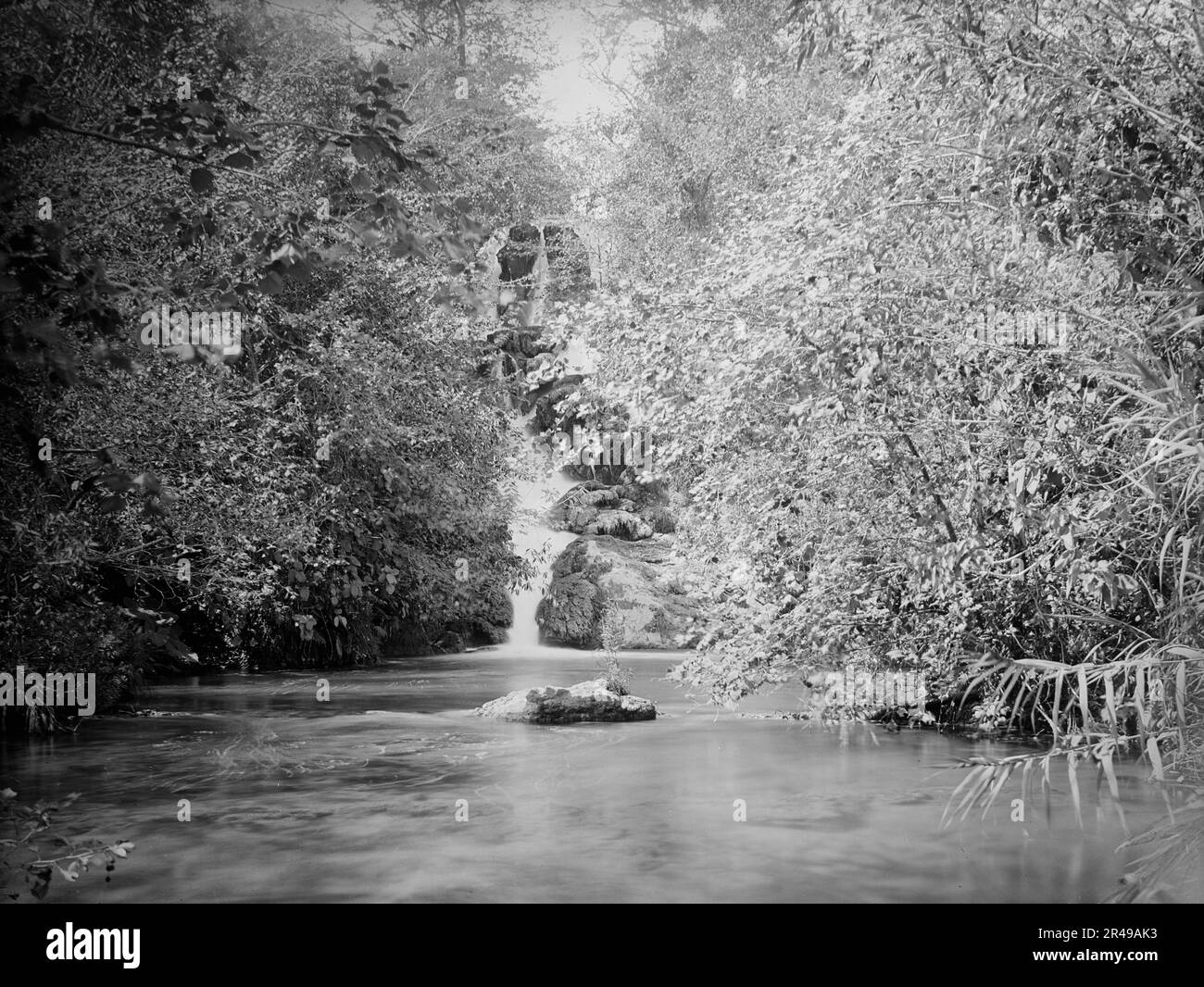 Woodland waterfall in woods Black and White Stock Photos & Images - Alamy