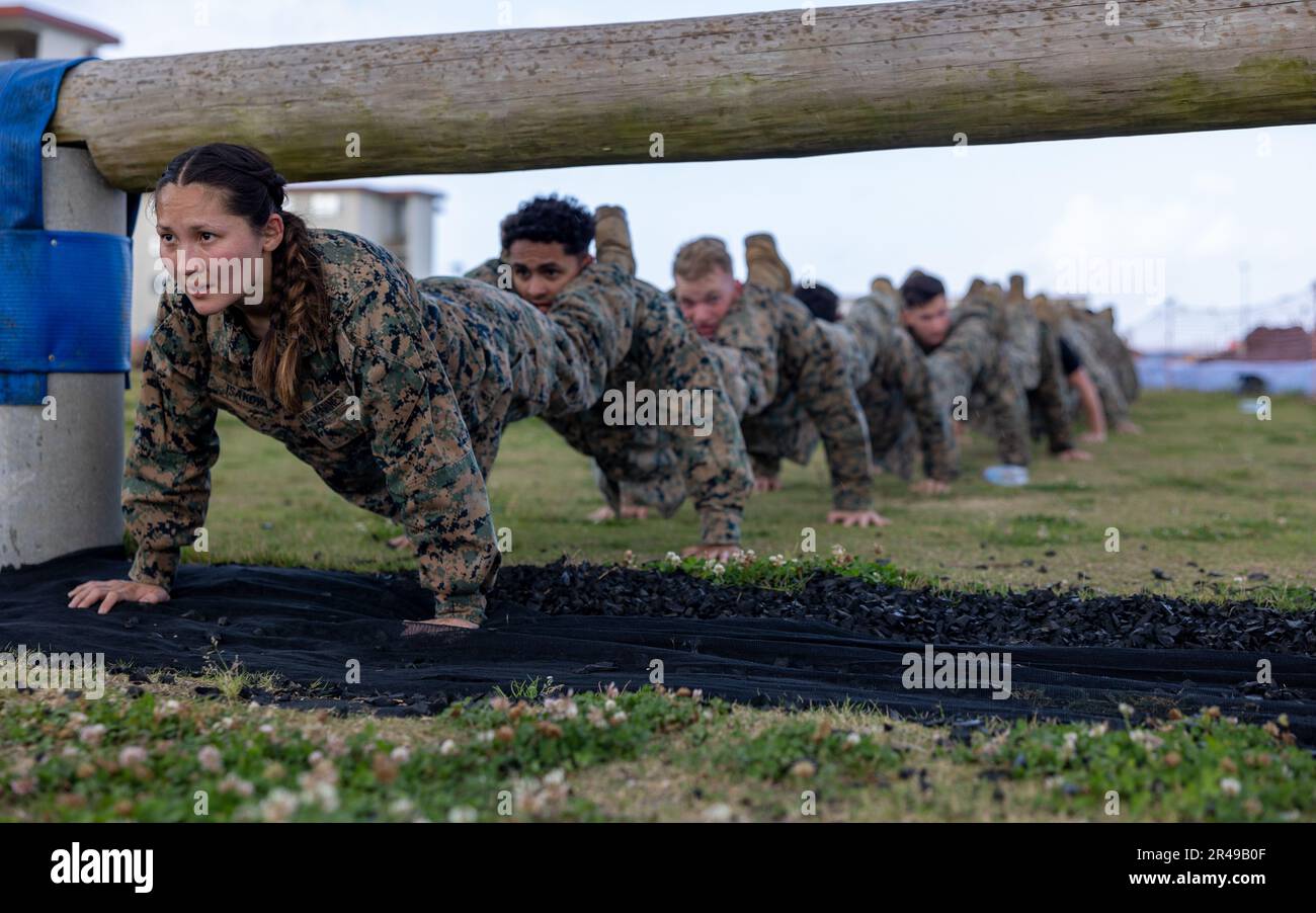 U.S. Marines with the 31st Marine Expeditionary Unit participate in an ...