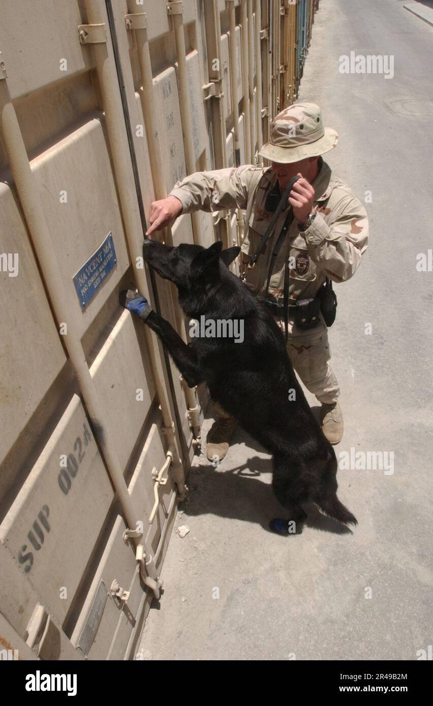 US Navy Master at Arms Stock Photo - Alamy
