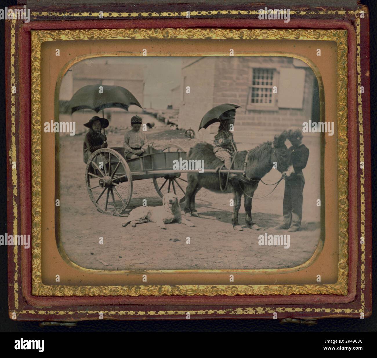 Children of Lt. Montgomery C. Meigs, in donkey cart with dog, probably ...