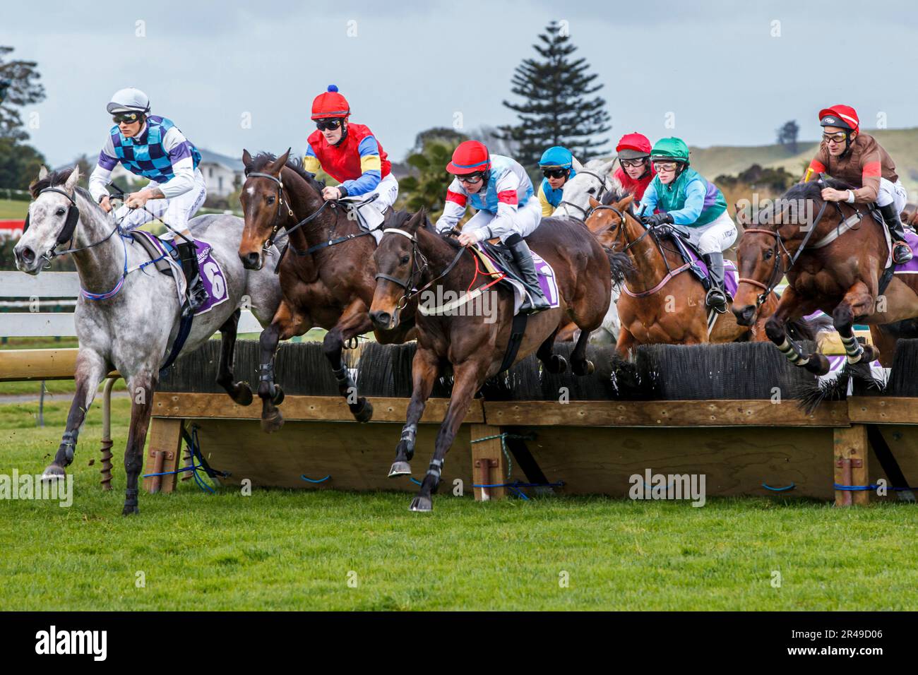 Riders jumping over fences during a horse race at Ellerslie Race Course ...