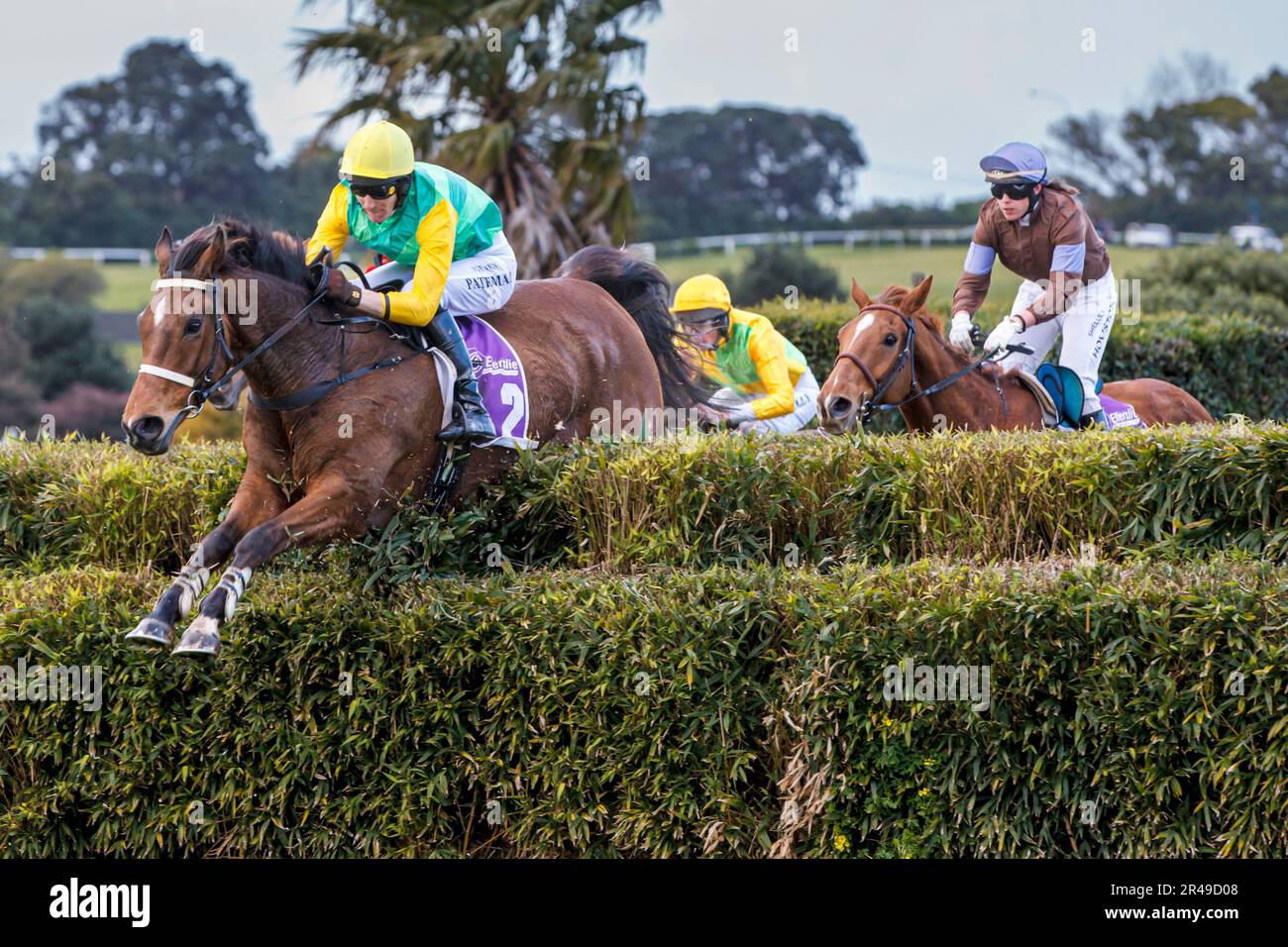 Riders jumping over fences during a horse race at Ellerslie Race Course ...