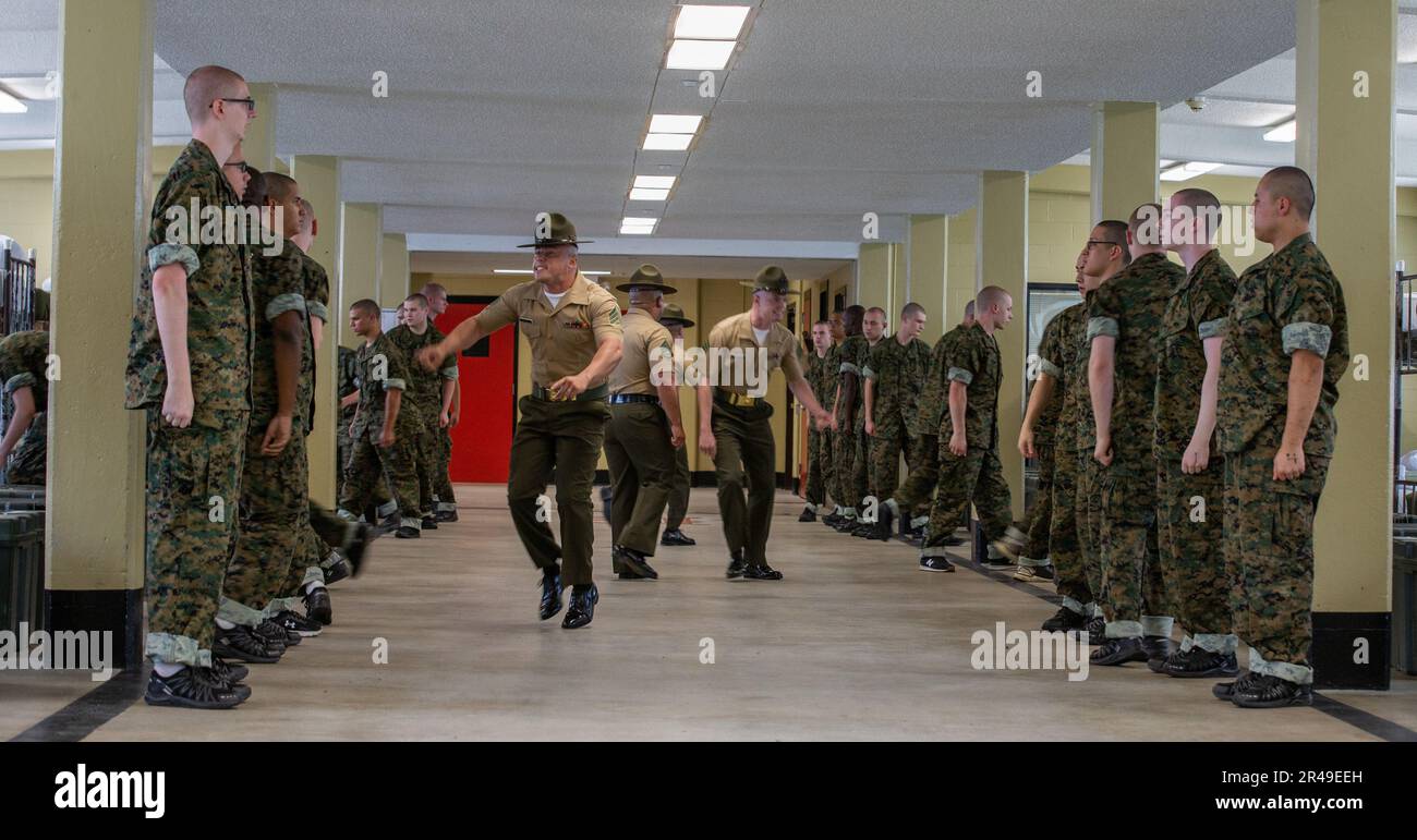 Drill instructors with Bravo Company, 1st Recruit Training Battalion ...