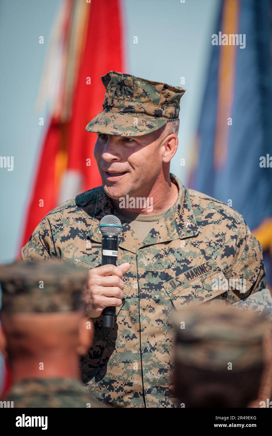 U.S. Marine Corps Col. Sean Dynan, commanding officer of the 15th ...