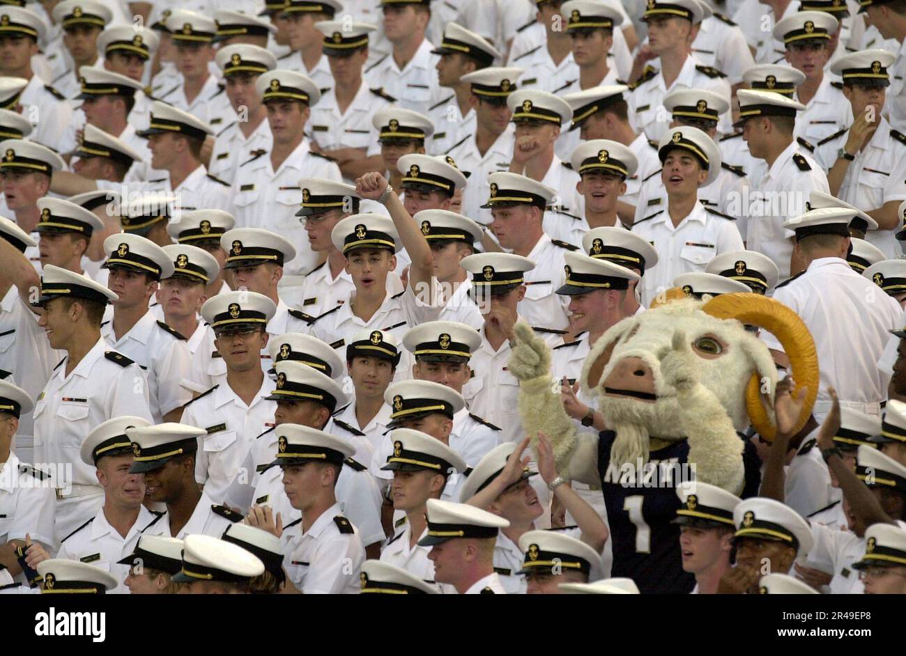 US Navy U.S. Naval Academy mascot Stock Photo - Alamy