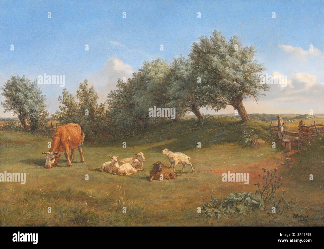 Cow and sheep, 1847 Stock Photo - Alamy