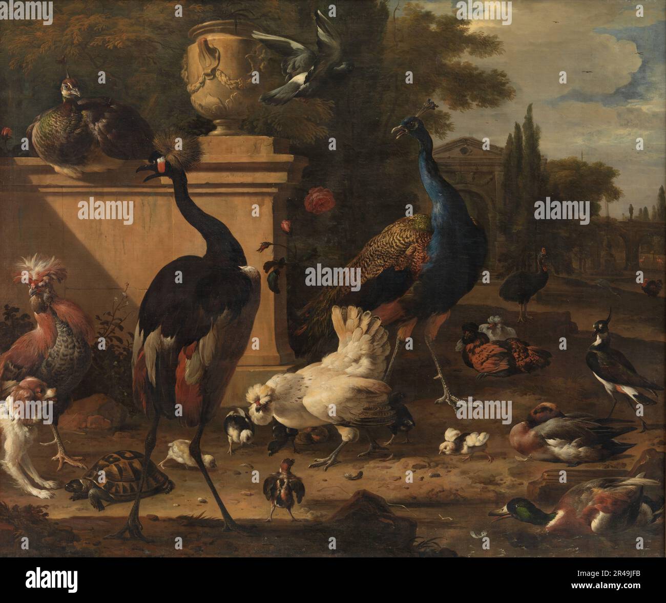 Hen Run at a Manor, 1651-1695 Stock Photo - Alamy