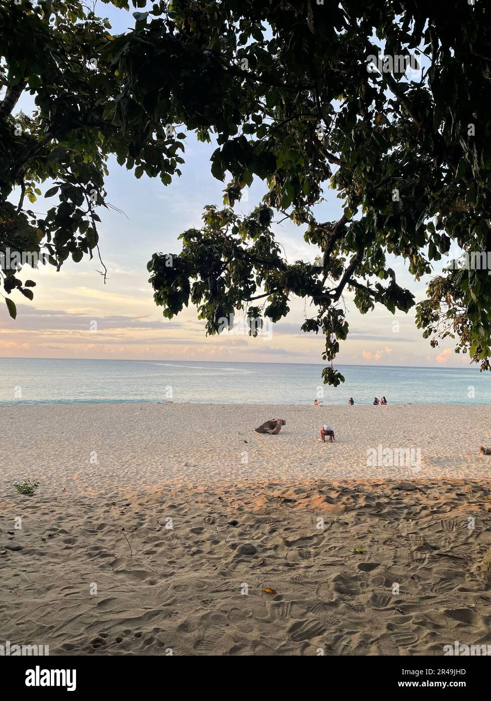 A tropical beach setting featuring a group of people enjoying the sun ...