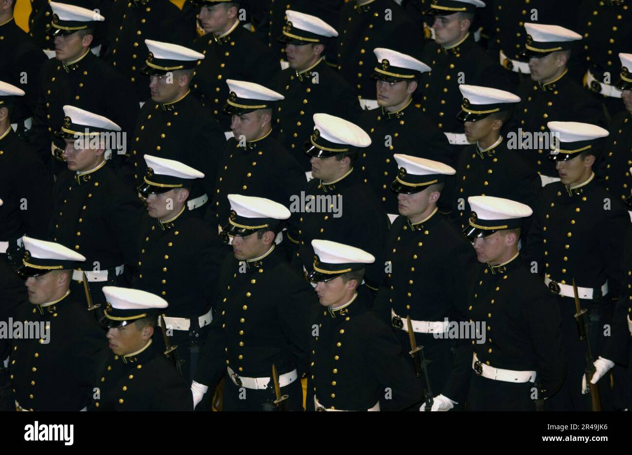 Us military stand parade rest hi-res stock photography and images - Alamy