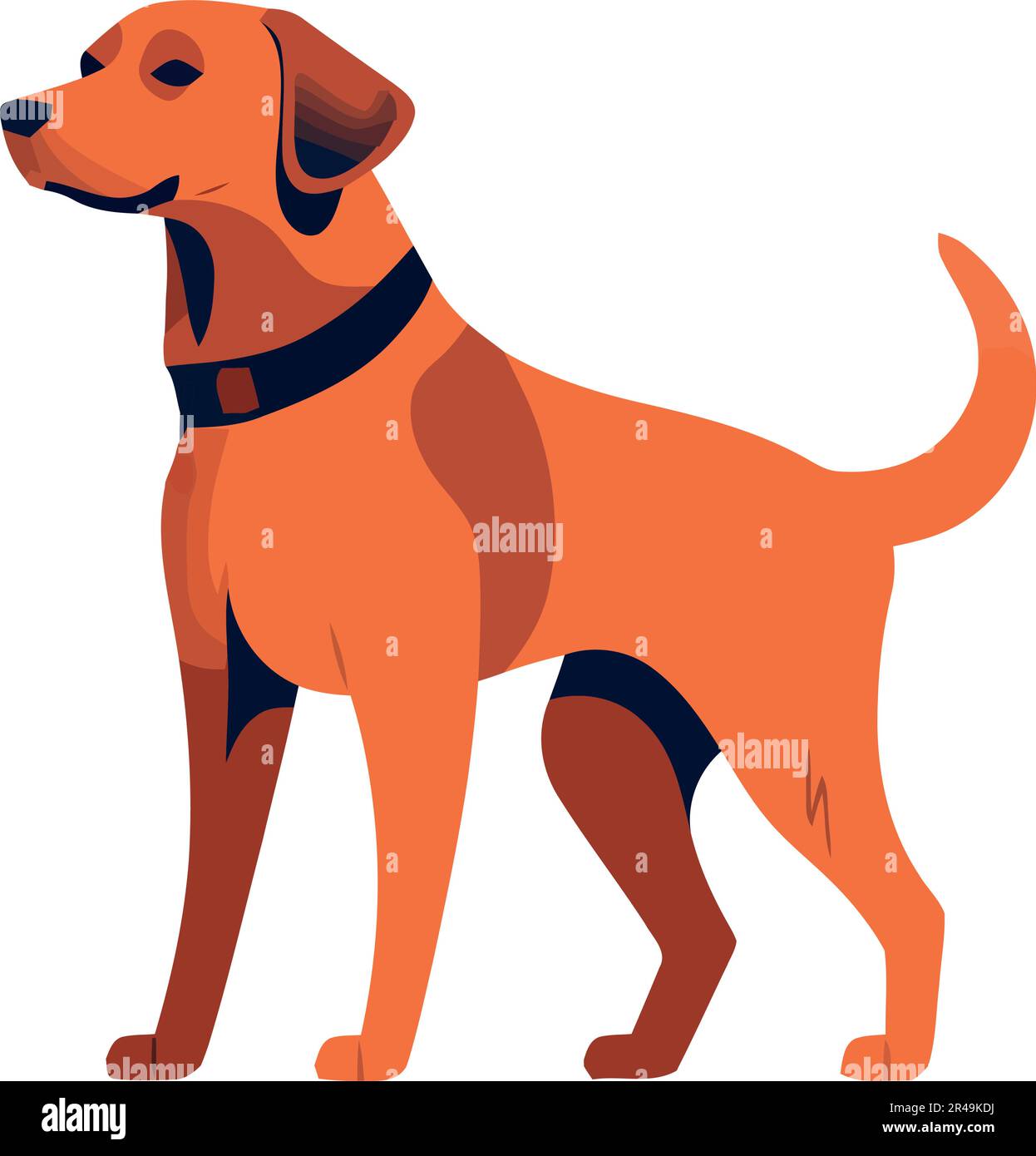 Cute puppy standing watching Stock Vector Images - Alamy