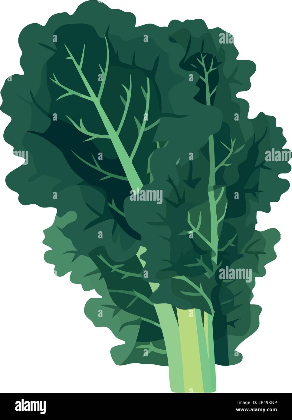 Kale tree Cut Out Stock Images & Pictures - Alamy