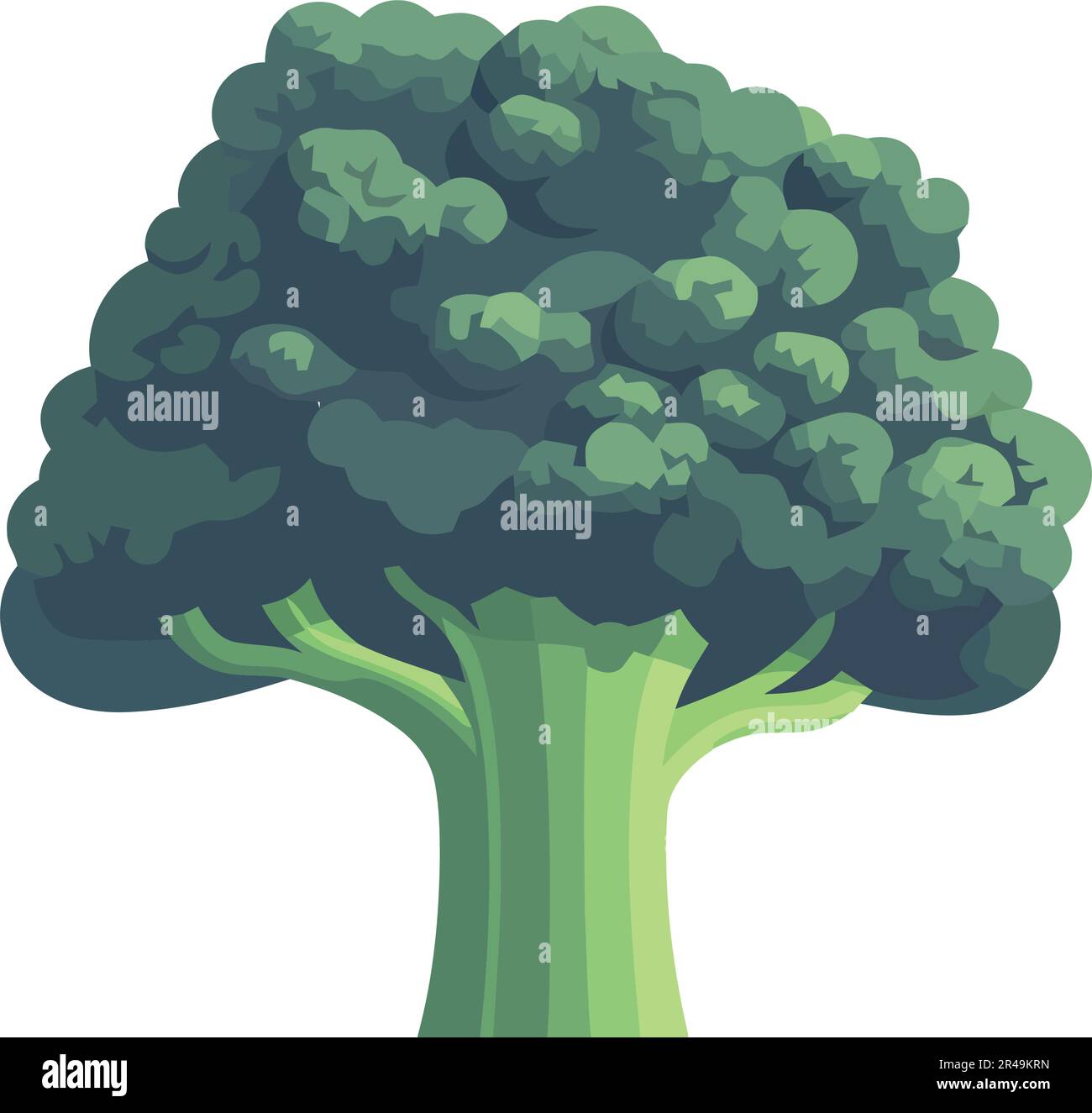 Green broccoli design illustration Stock Vector Image & Art - Alamy