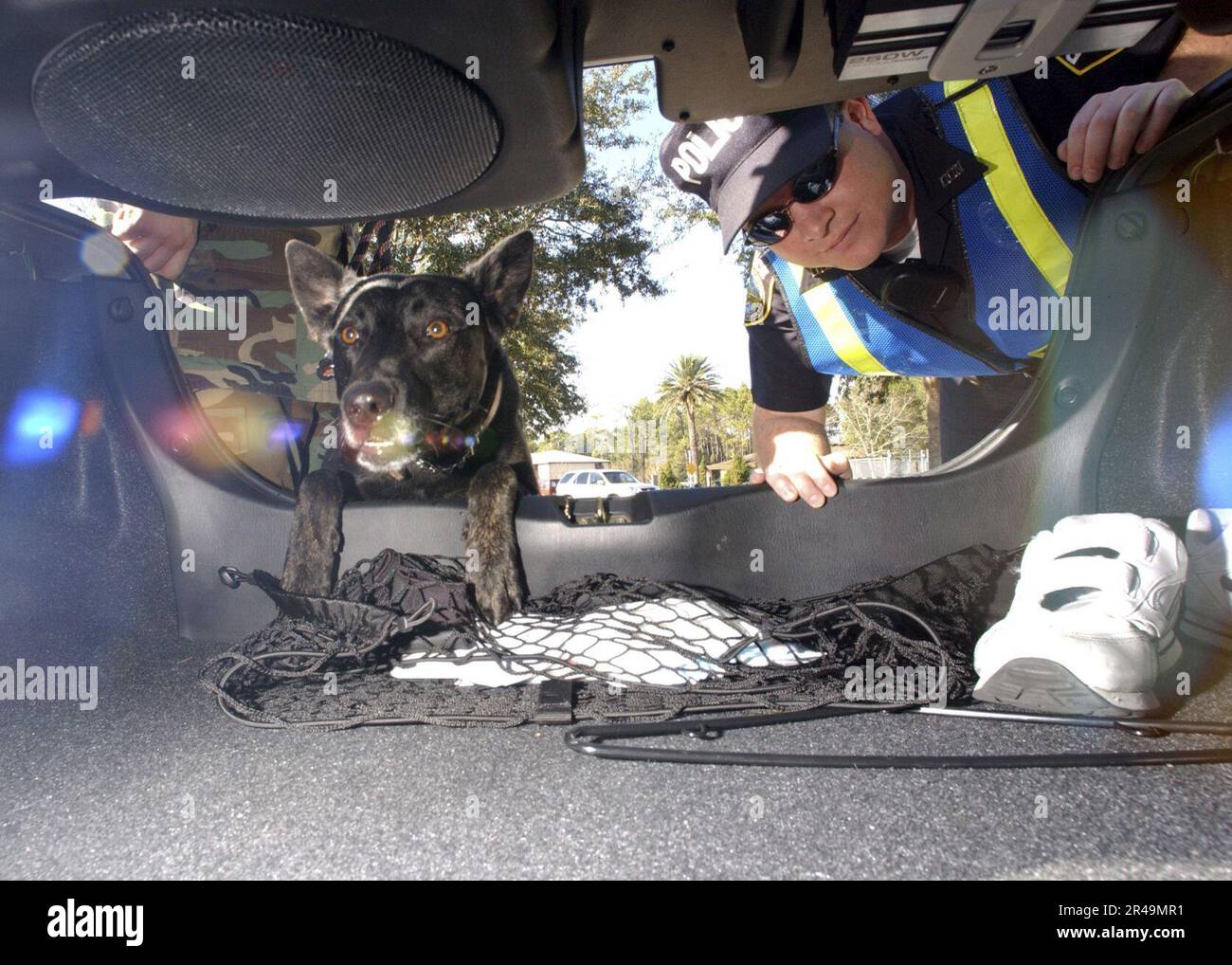 US Navy Naval Station security personnel use one of the station's K-9 ...