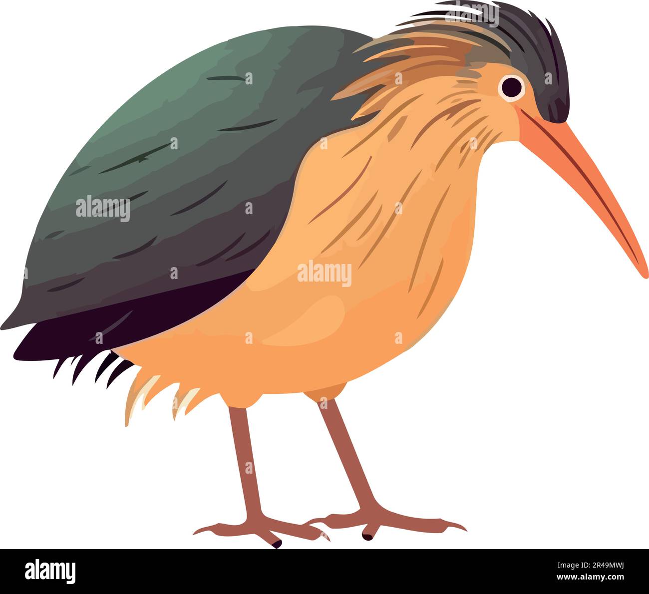 White tropical bird side view Stock Vector Images - Alamy