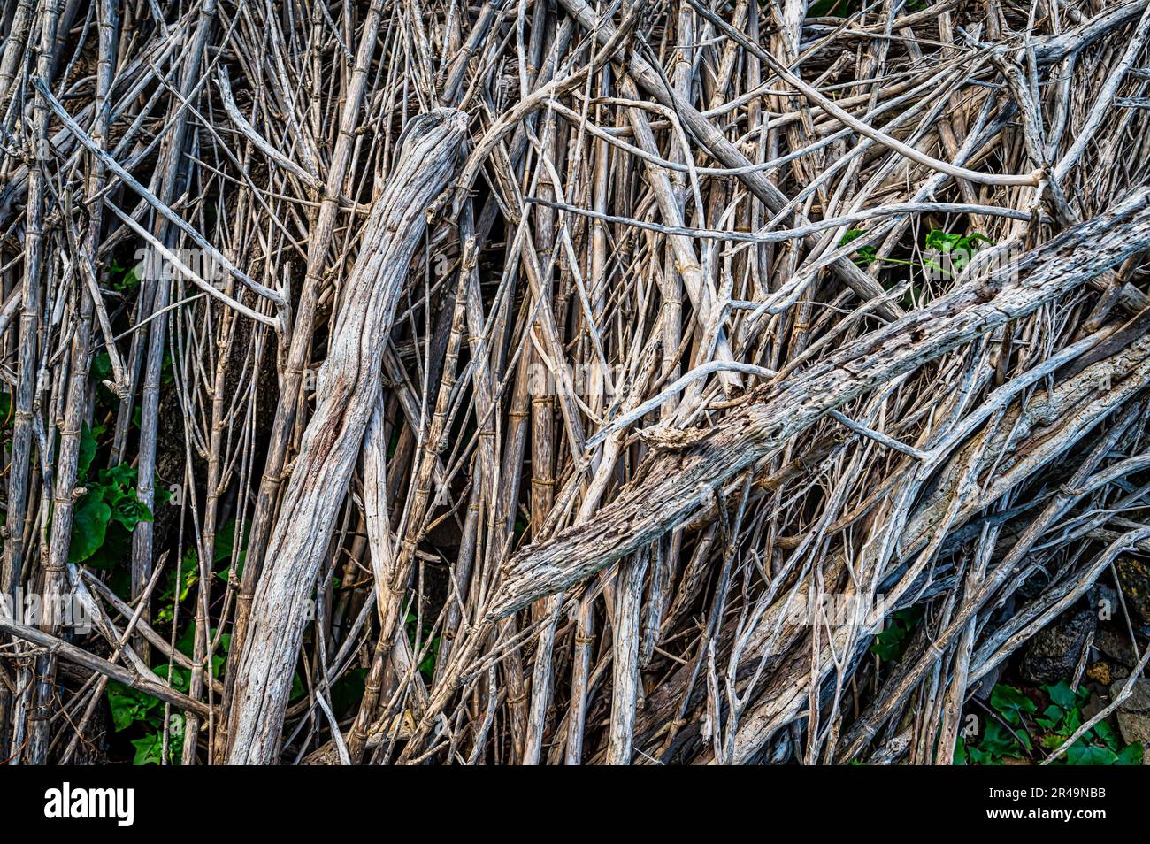 Rustic branches fence hi-res stock photography and images - Alamy