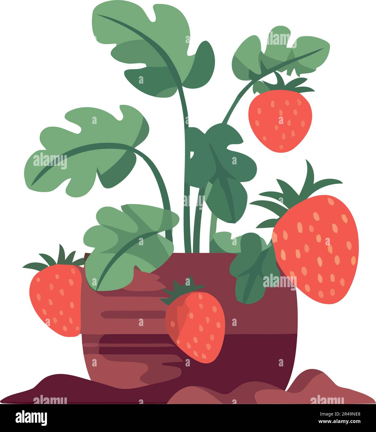 strawberry plant design Stock Vector Image & Art - Alamy