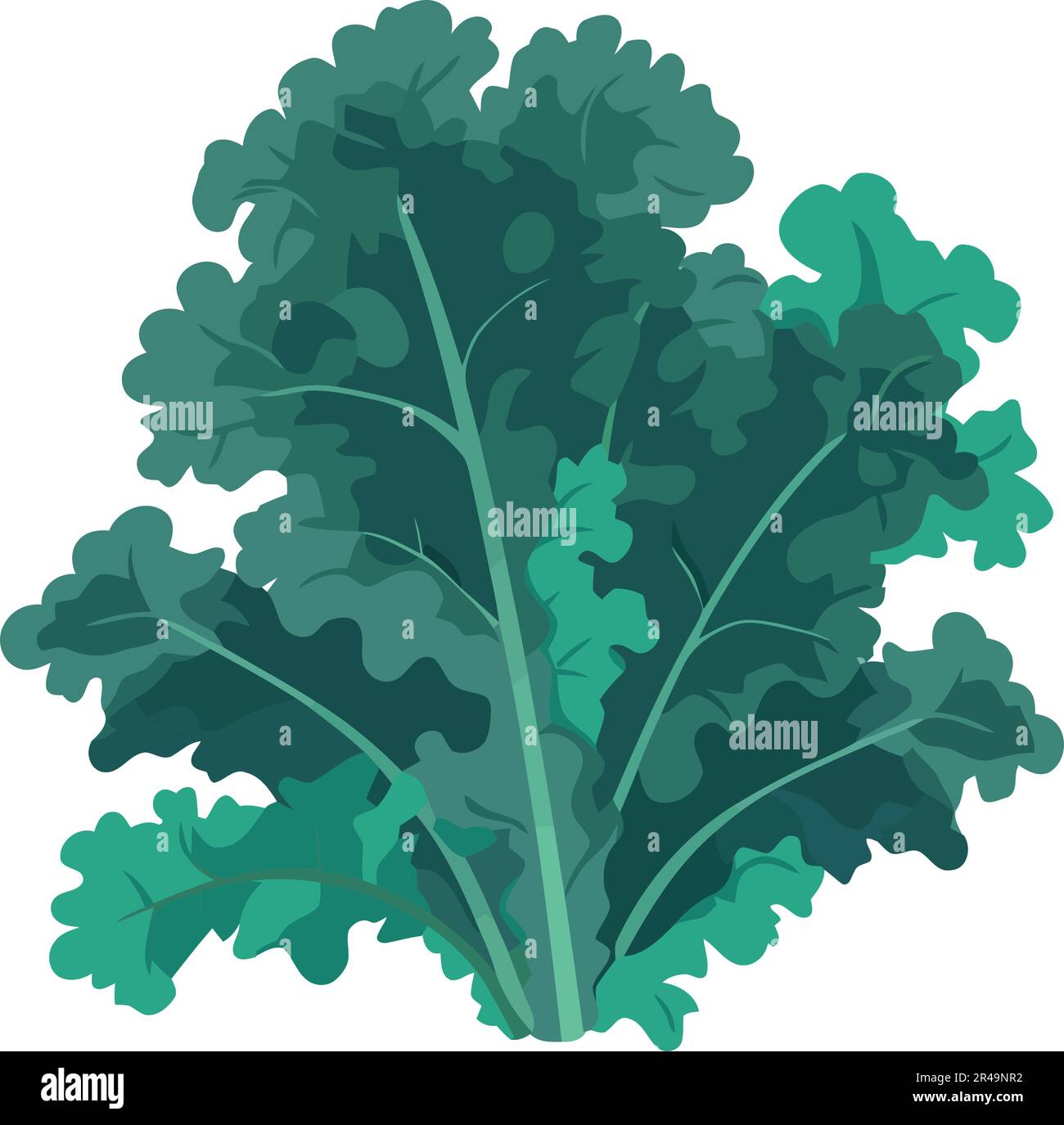 Kale tree Cut Out Stock Images & Pictures - Alamy