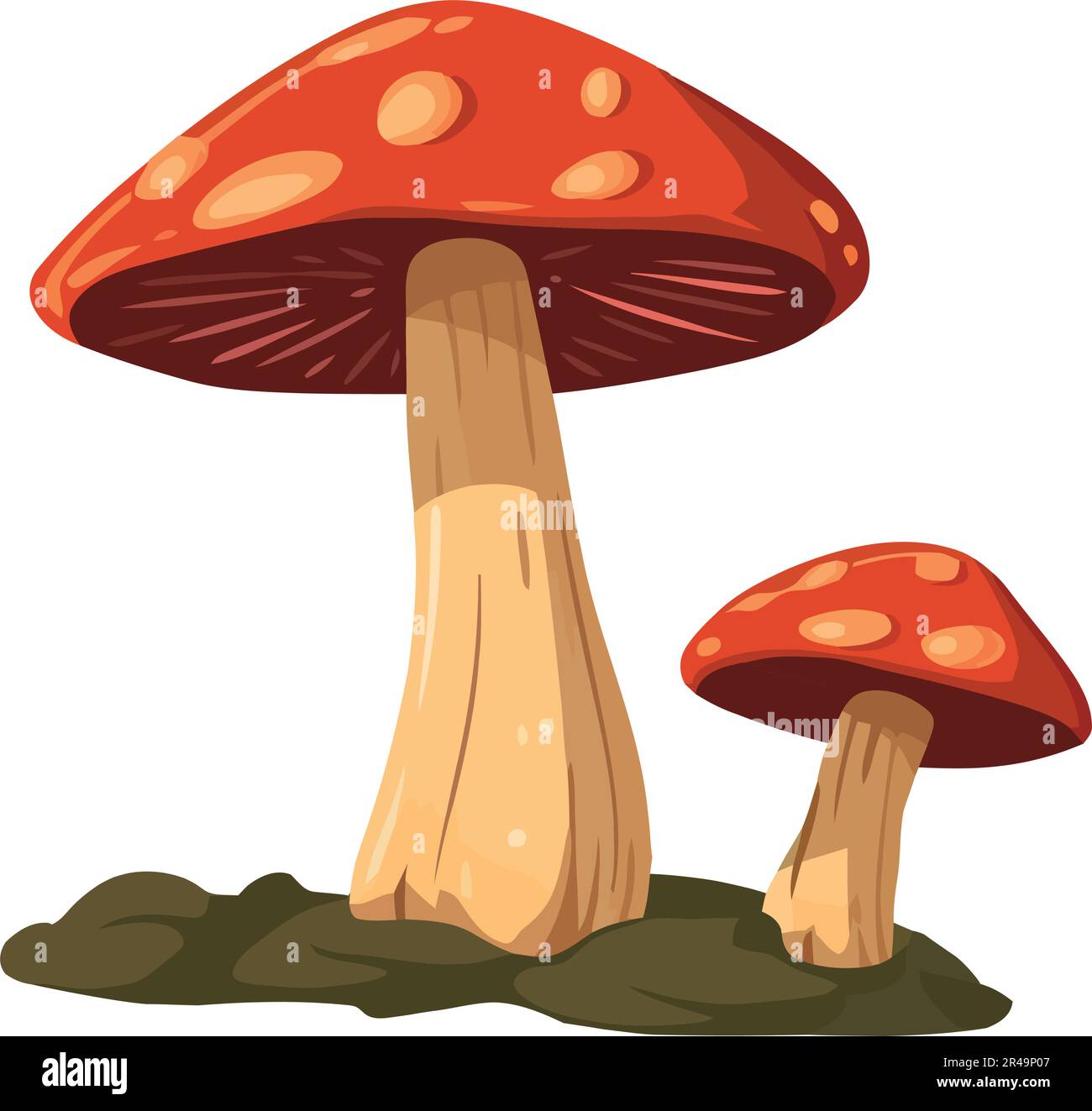 Fungus toadstool nature tree Stock Vector Images - Alamy