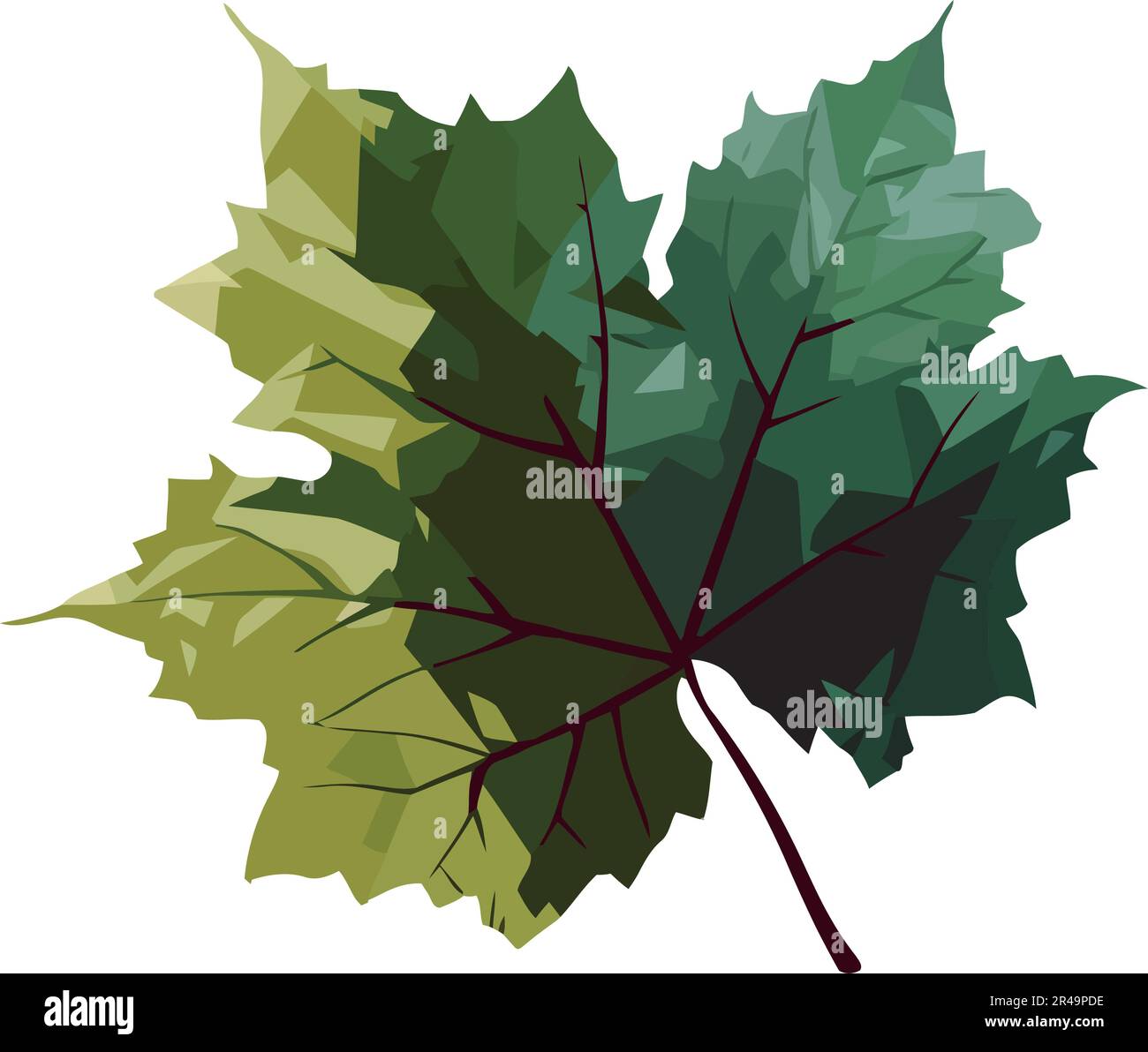 design of maple leaf Stock Vector Image & Art - Alamy