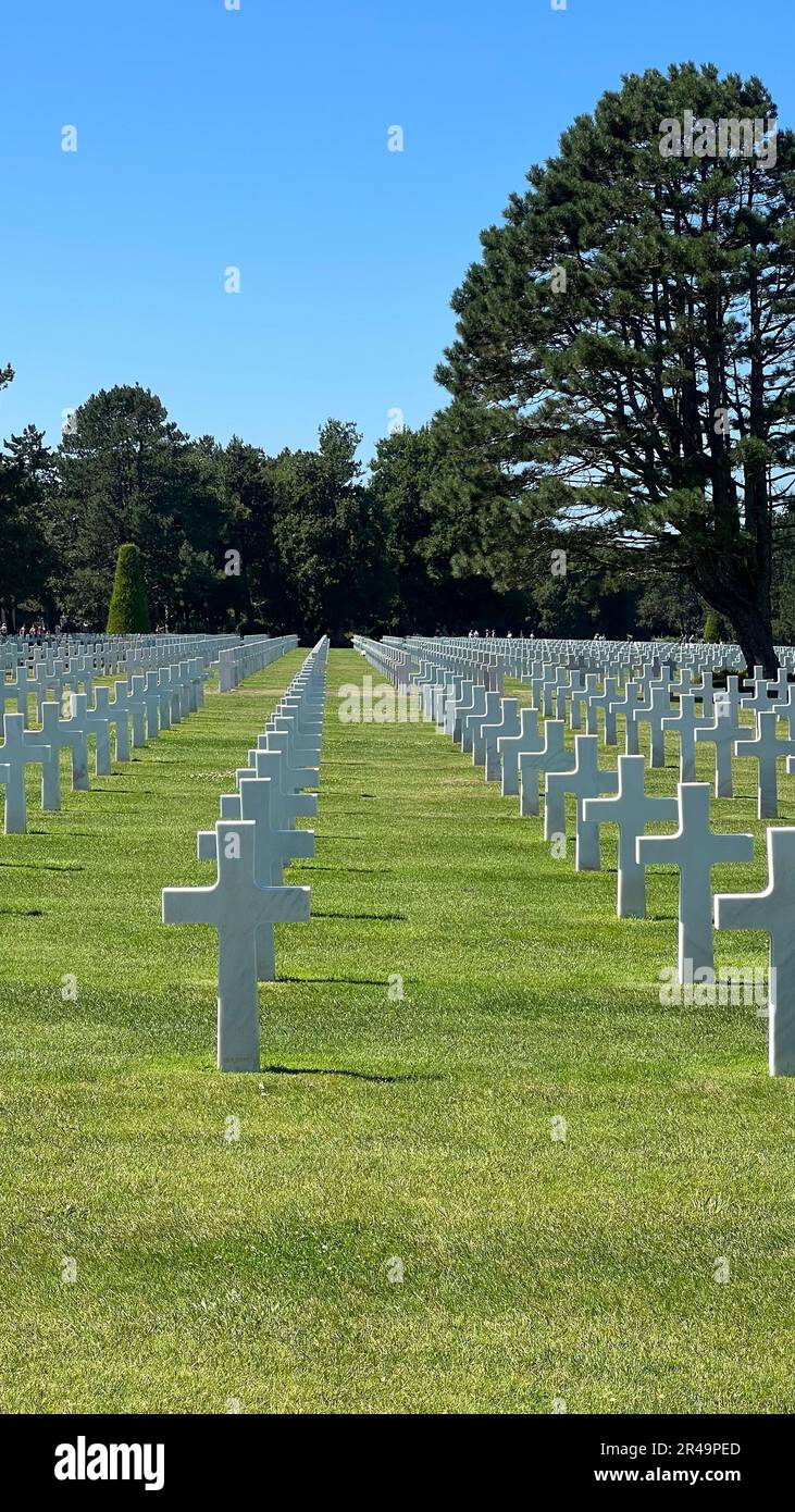 A vertical shot of a cemetery featuring multiple rows of crosses in ...