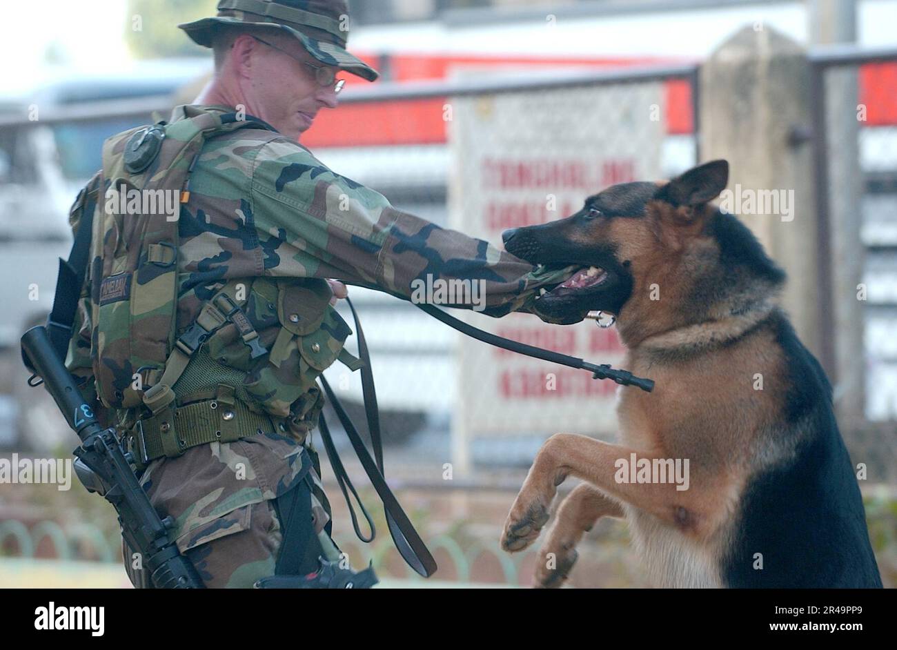US Navy U.S. Marine Corps Sgt. and his canine partner Stock Photo - Alamy