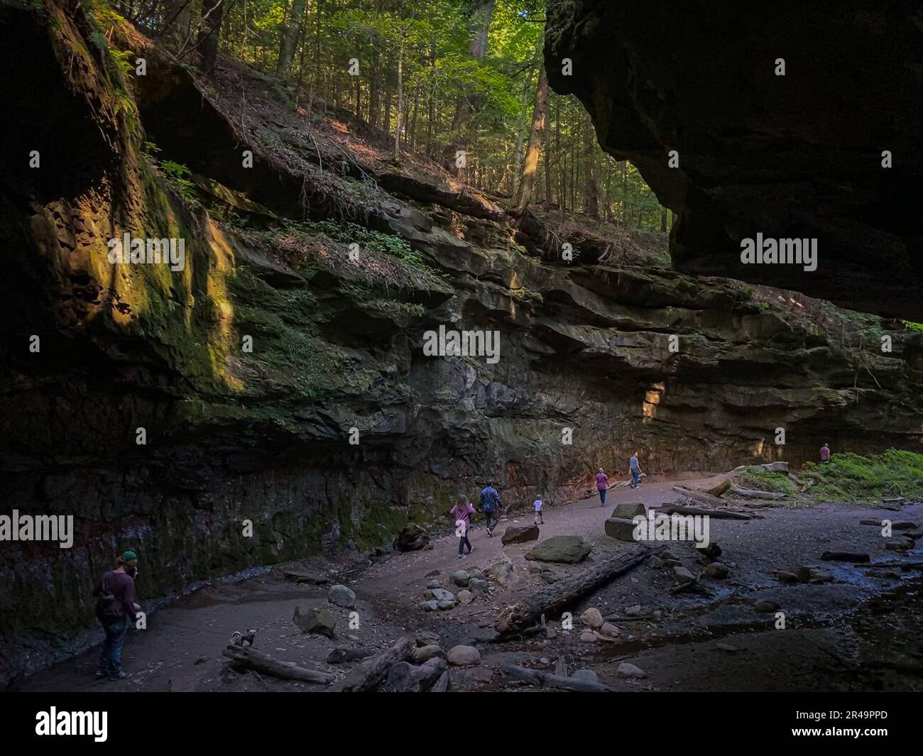A group of people walking together in a cave illuminated by moonlight ...