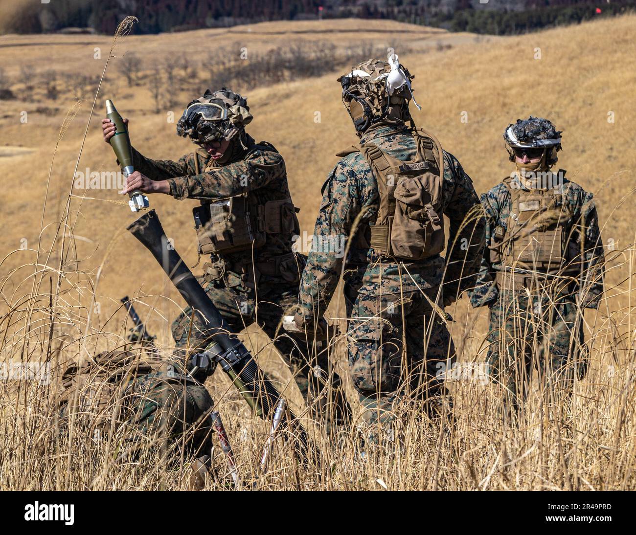 U.S. Marines with Battalion Landing Team 1/4, 31st Marine Expeditionary ...