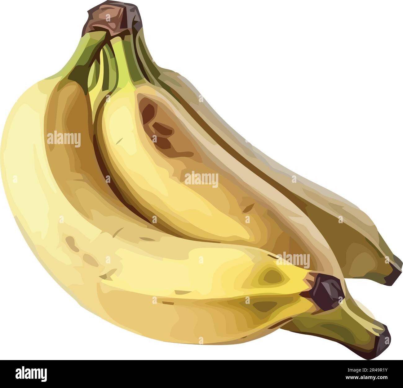 Ripe bananas illustration vector Stock Vector Image & Art - Alamy