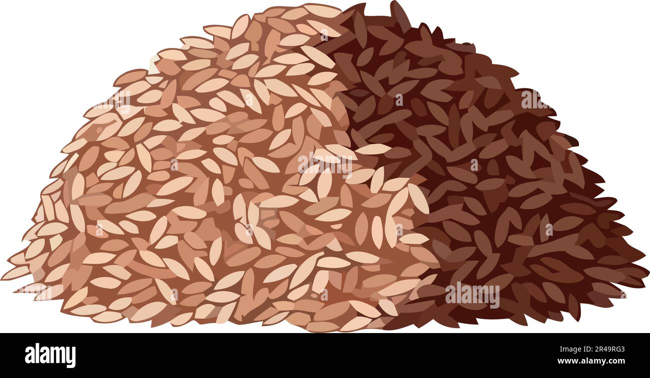 Organic rice illustration Stock Vector Image & Art - Alamy