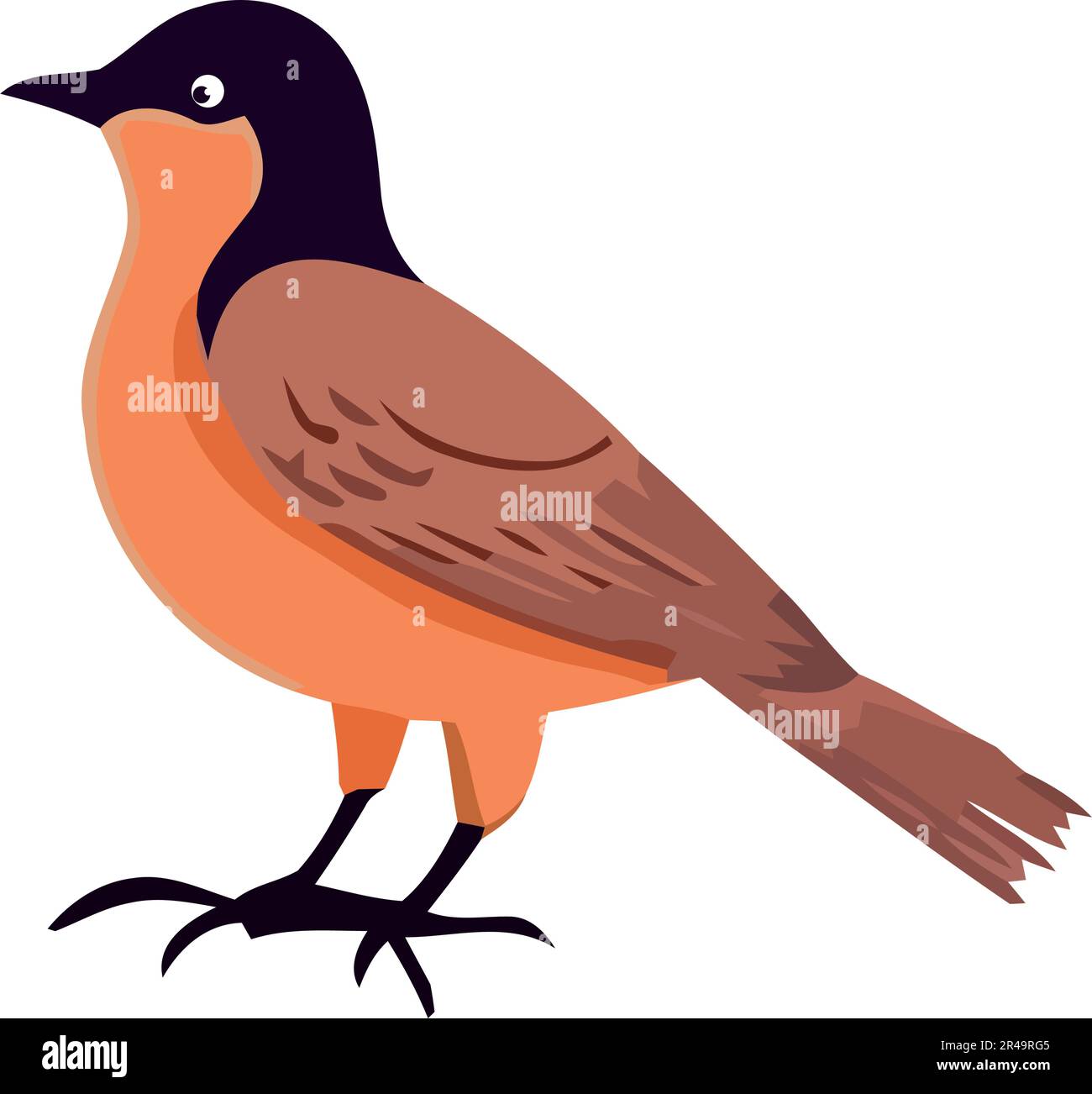 Cute cartoon bird perching Stock Vector Image & Art - Alamy