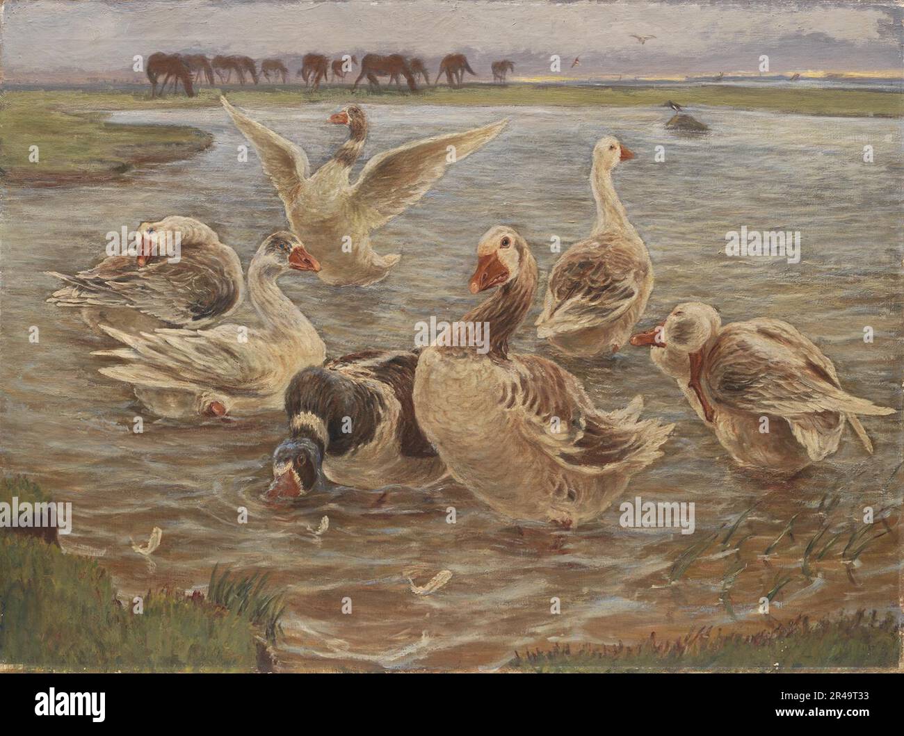 Saltholm island hi-res stock photography and images - Alamy